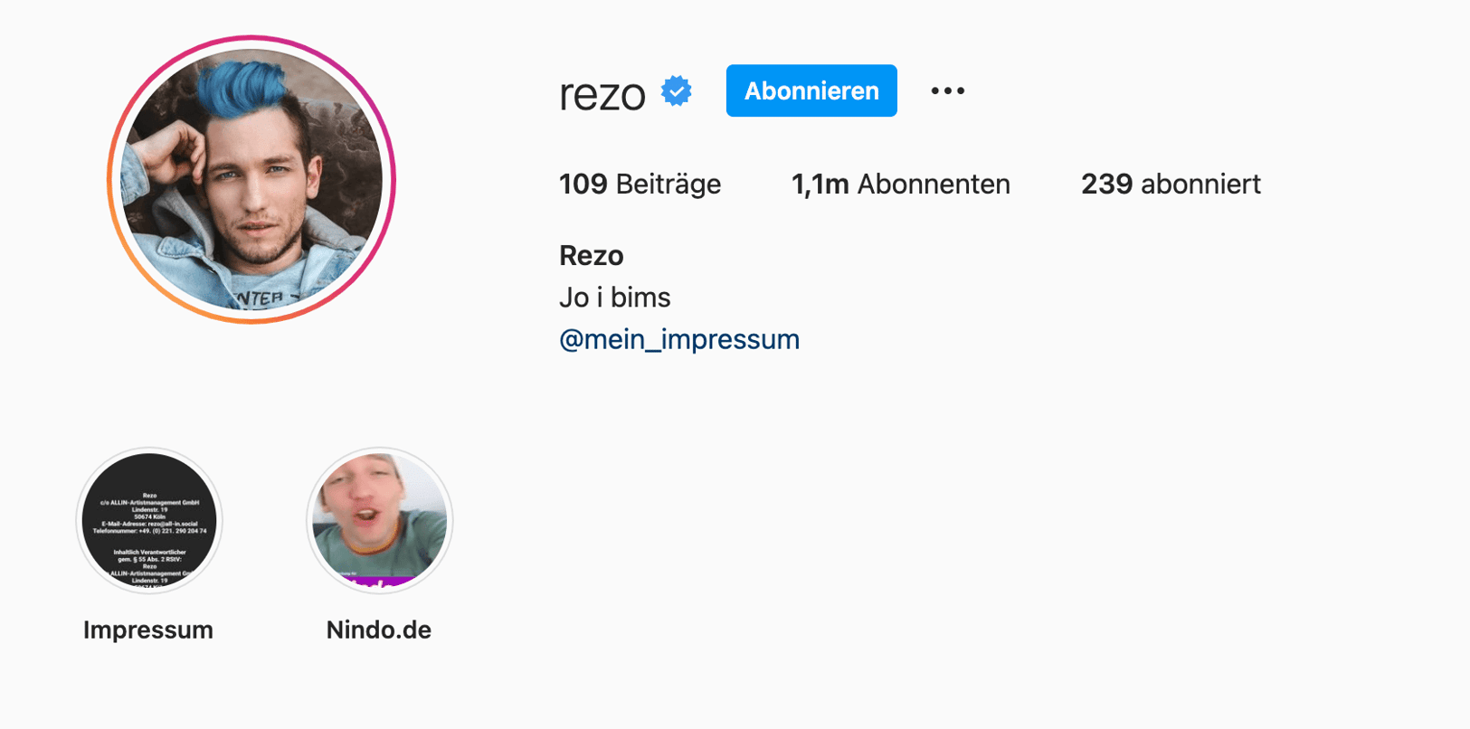 Instagram Bio: So gestalten Sie einen professionellen Steckbrief